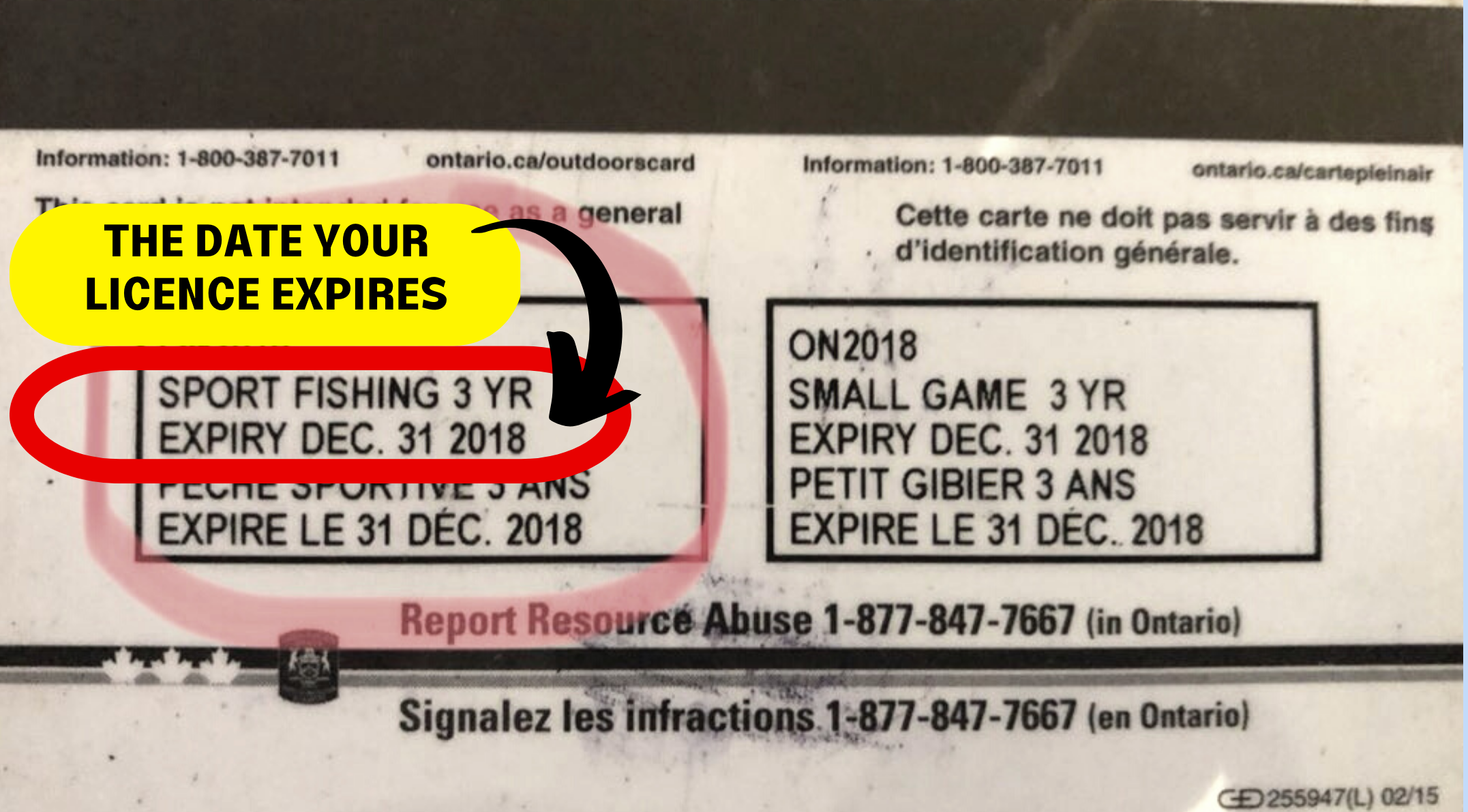 Don’t Get Caught With an Expired Fishing or Hunting Licence – OLD CUT ...